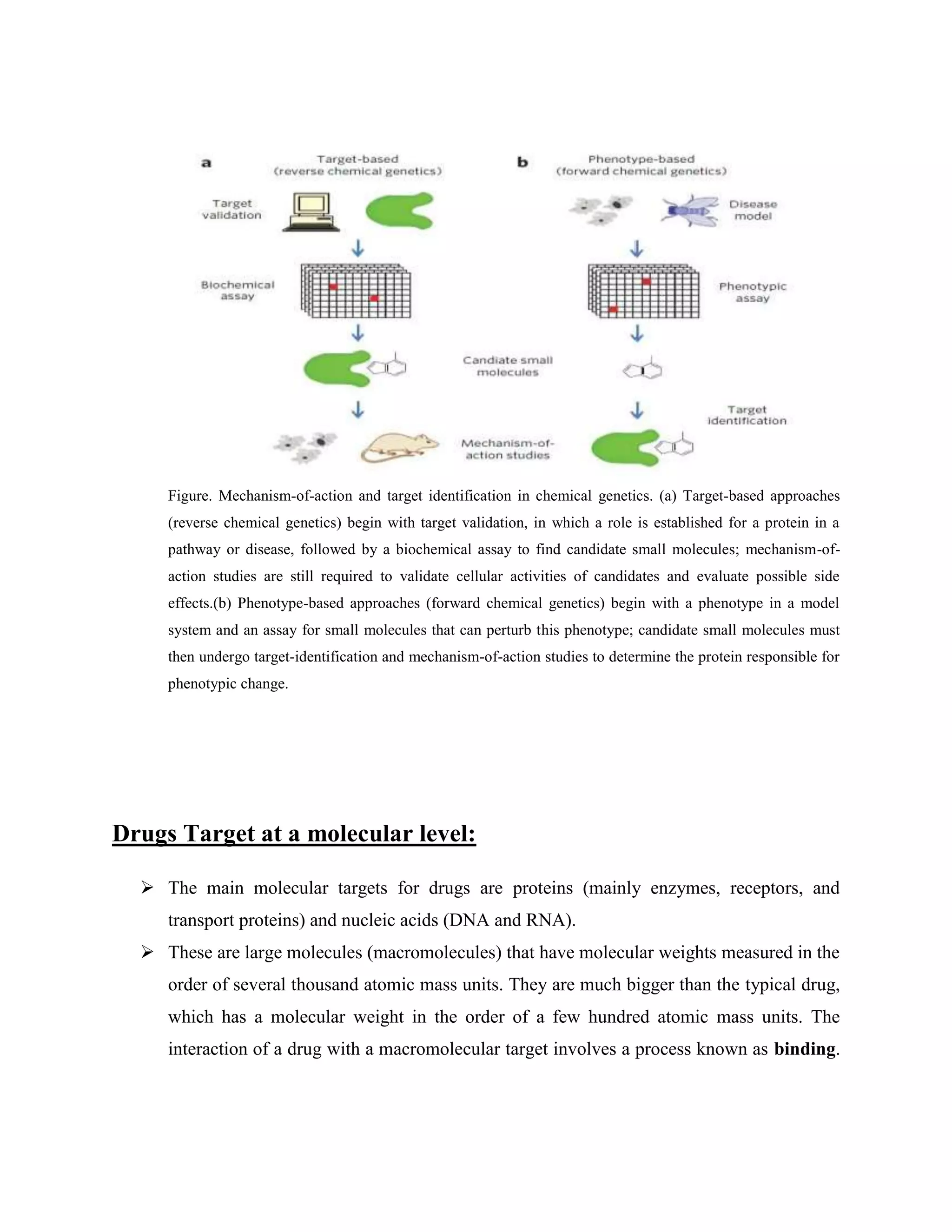 Target identification in drug discovery | PDF