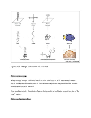 Target identification in drug discovery | PDF