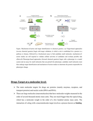 Target identification in drug discovery | PDF