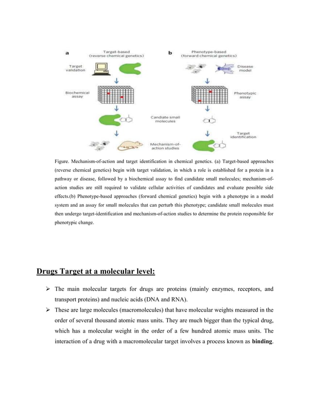 Target identification in drug discovery | PDF | Genetics | Science