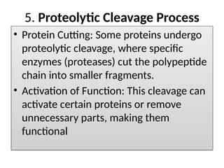 TARGETING AND POST-TRANSILATION MODIFICATION OF PROTEIN.pptx