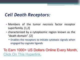 Targeting cell death receptor ligand systems in cancer treatment by dr ...