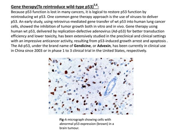 Targeting p53 for novel anticancer therapy | PPT