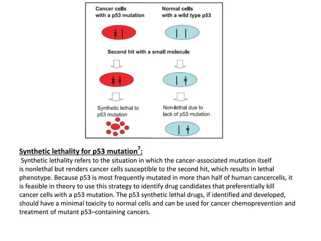 Targeting p53 for novel anticancer therapy | PPT