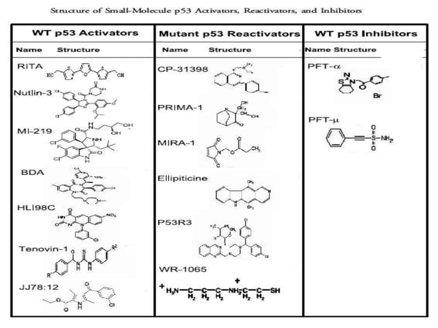Targeting p53 for Novel Anticancer Therapy | PPT