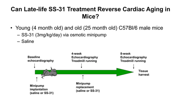 Targeting the hallmarks of aging to reverse age related cardiac ...