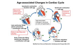 Targeting the hallmarks of aging to reverse age related cardiac ...