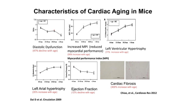 Targeting the hallmarks of aging to reverse age related cardiac ...