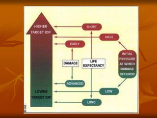 Target IOP is intraocular pressure at which optic nerve damage is ...