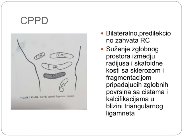 target mesta u reumi.pptx