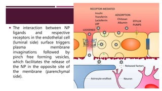 Nanoparticles- Target oriented drug delivery system | PPTX