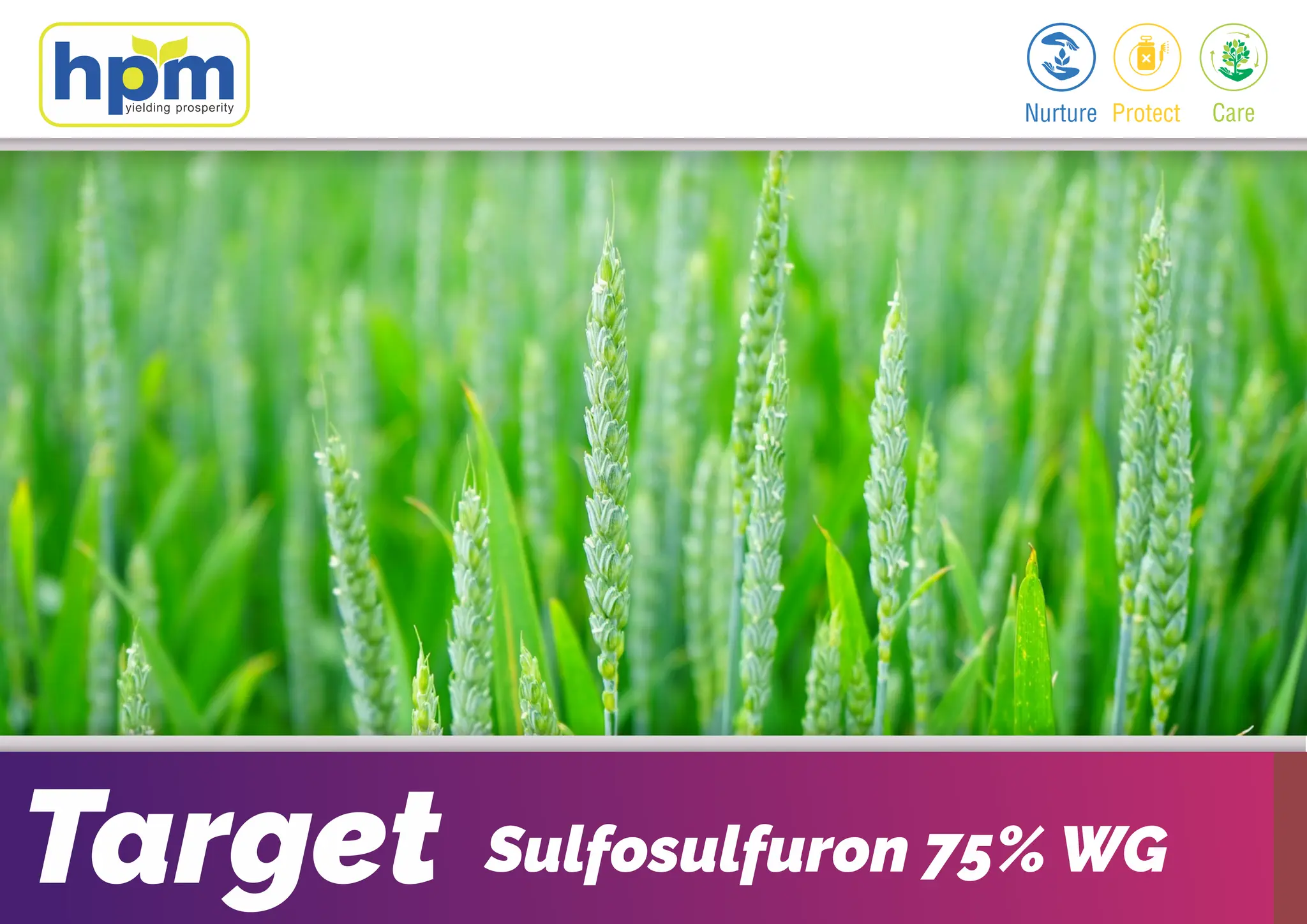 HPM TARGET (Sulfosulfuron 75% WG) Herbicides | PDF