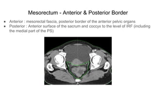 TARGET DELINEATION IN RECTUM CANCER BY DR KANHU | PPTX
