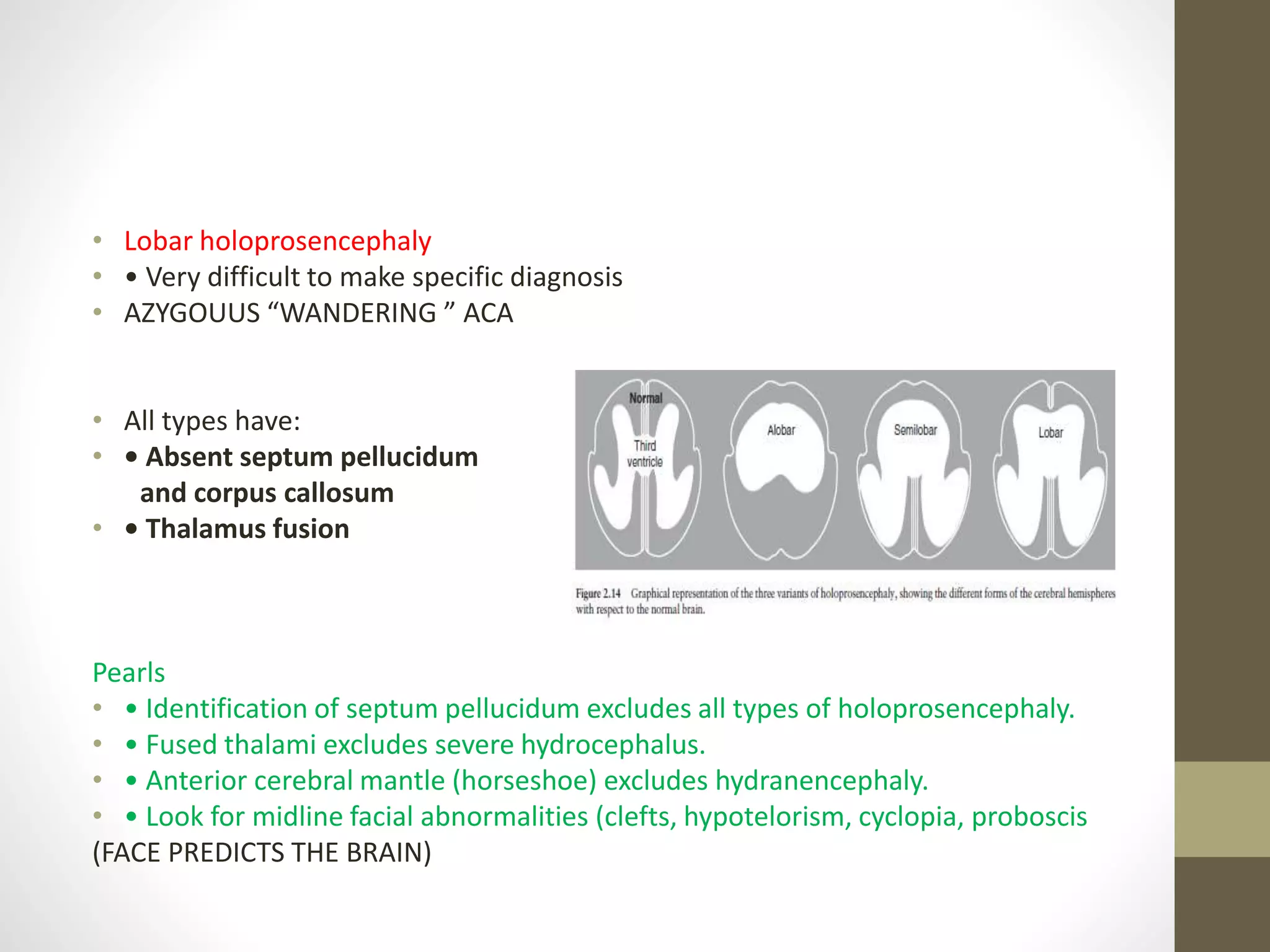 Target scan for fetal anomalies | PPTX