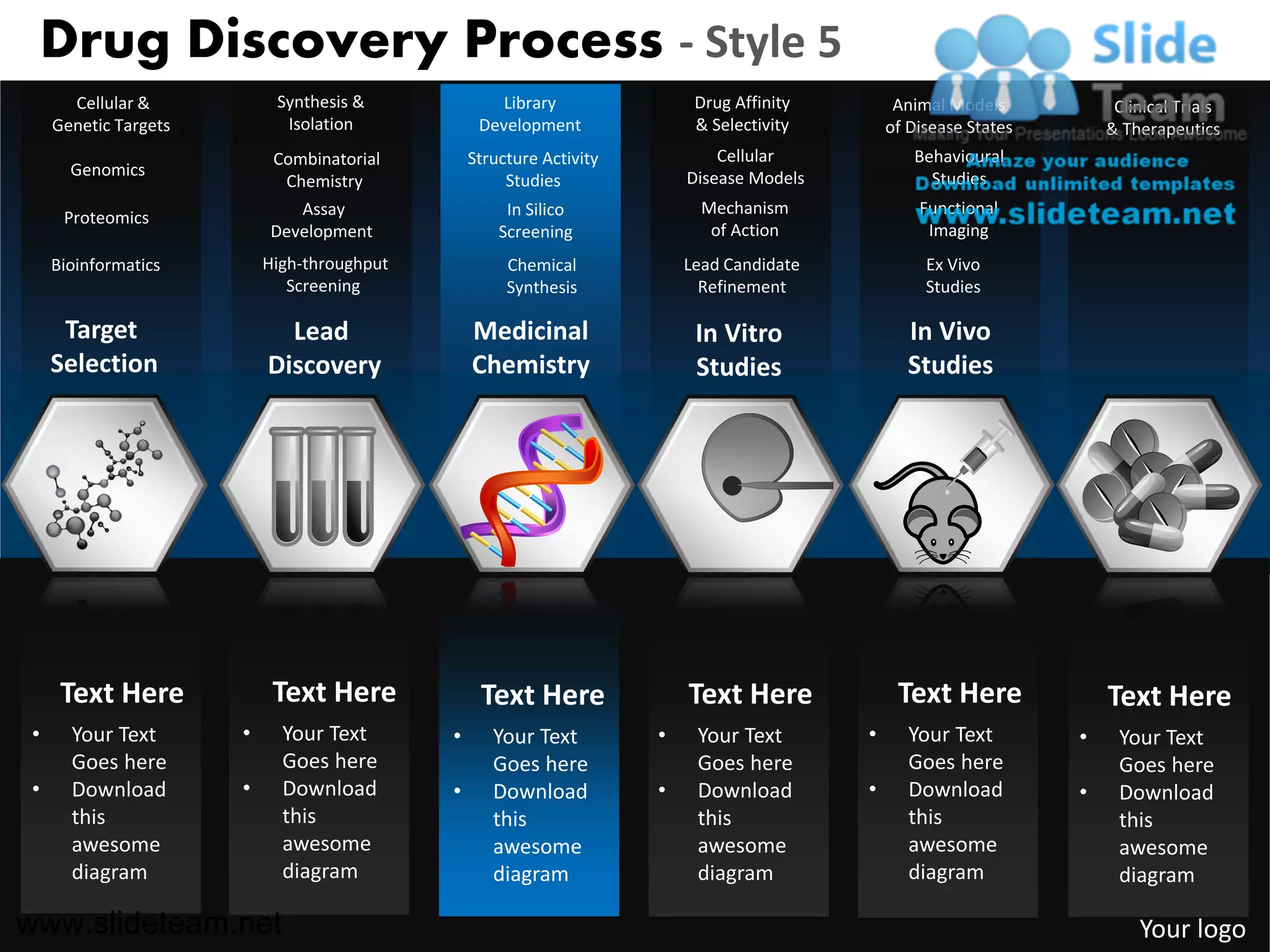 Target selection lead discovery medicinal drug discovery process style ...