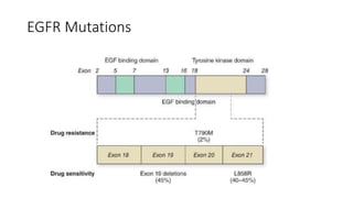 molecular biology and Target therapy in lung cancer | PPTX