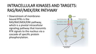 molecular biology and Target therapy in lung cancer | PPTX