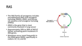 molecular biology and Target therapy in lung cancer | PPTX