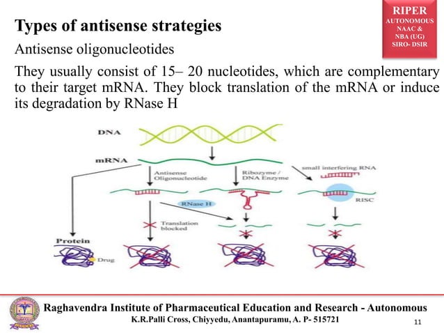 Target Validation | PPTX | Biological Sciences | Science