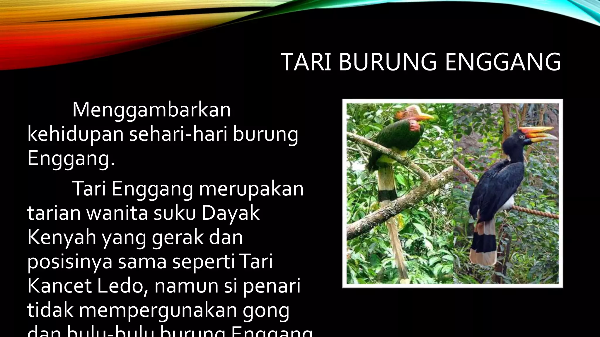 Presentasi seni budaya (Tari burung enggang) | PPTX