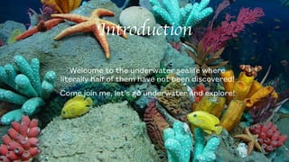 Wonders of the Sea | PDF