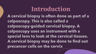 Pap smear test and biopsy of cervix. | PDF