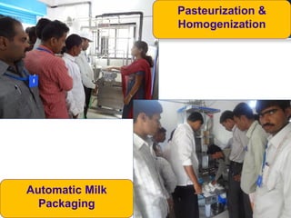 Training on Milk Processing | PDF