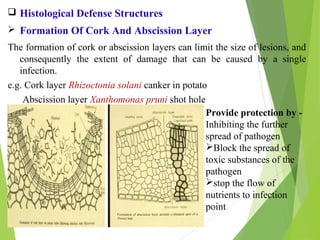 Defence mechanism in plants: Preformed substances and structures. | PPT