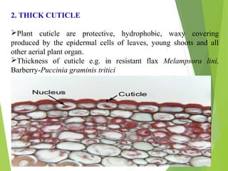 Defence mechanism in plants: Preformed substances and structures. | PPT