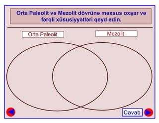 Mezolit | PDF