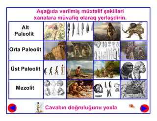 Mezolit | PDF