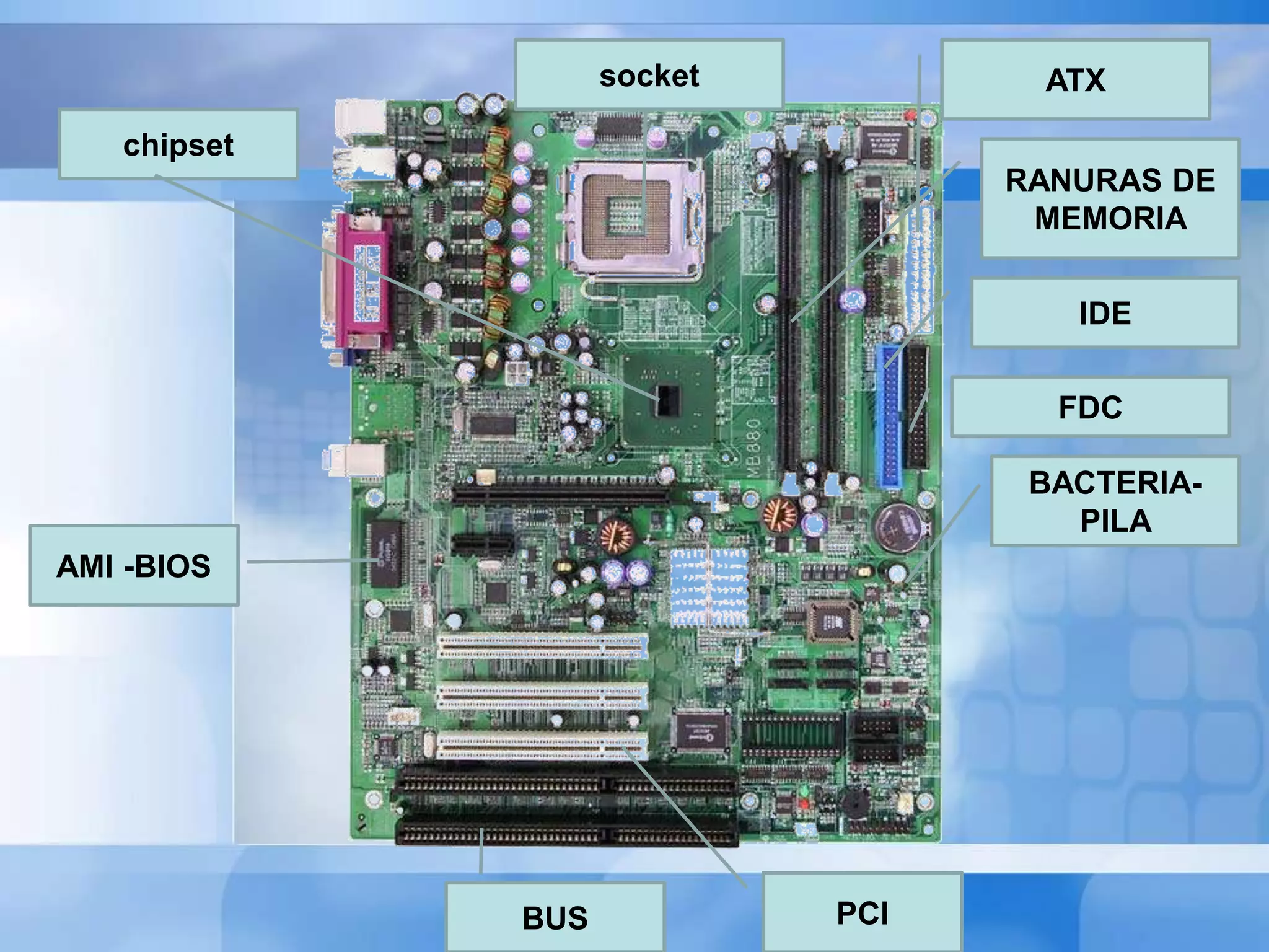 Tarjeta principal (kelly) | PPTX
