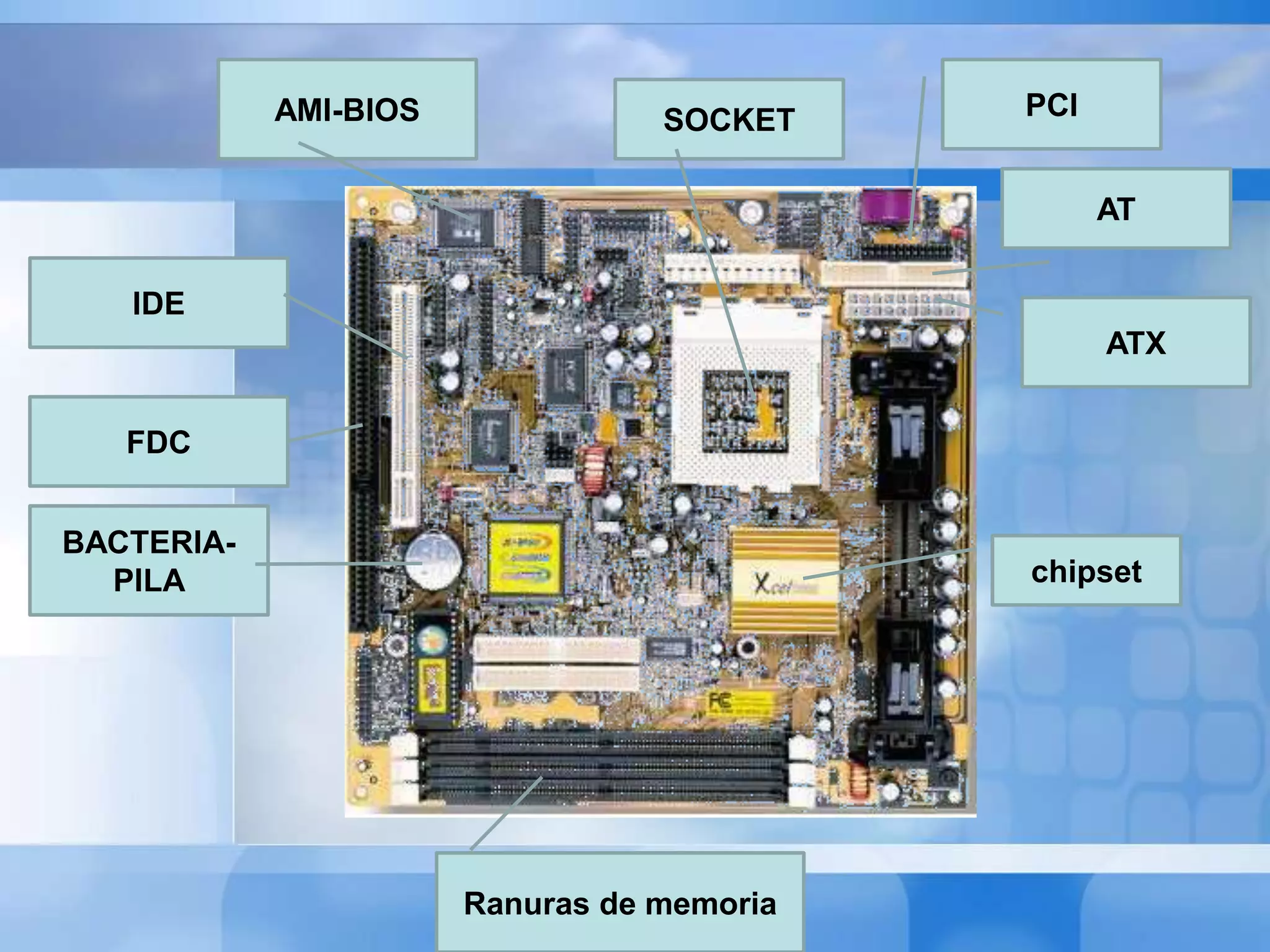 Tarjeta principal (kelly) | PPTX