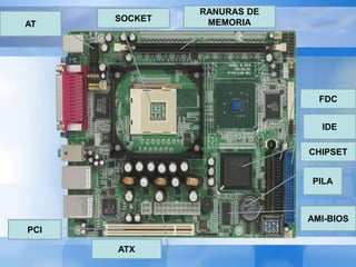 Tarjeta principal (kelly) | PPTX