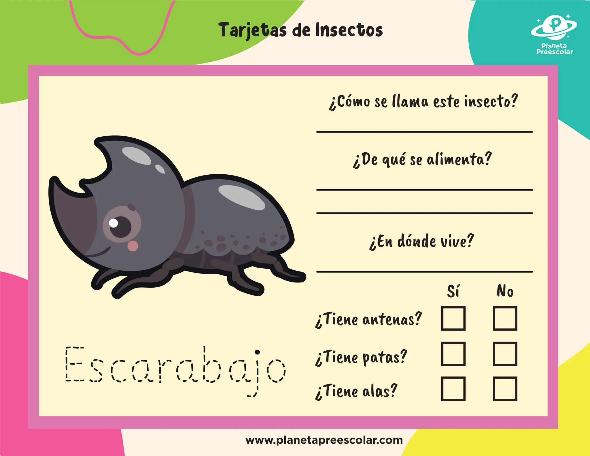 Tarjetas de Insectos .pdf Tarjetas de Insectos .pdf. Tarjetas de ...