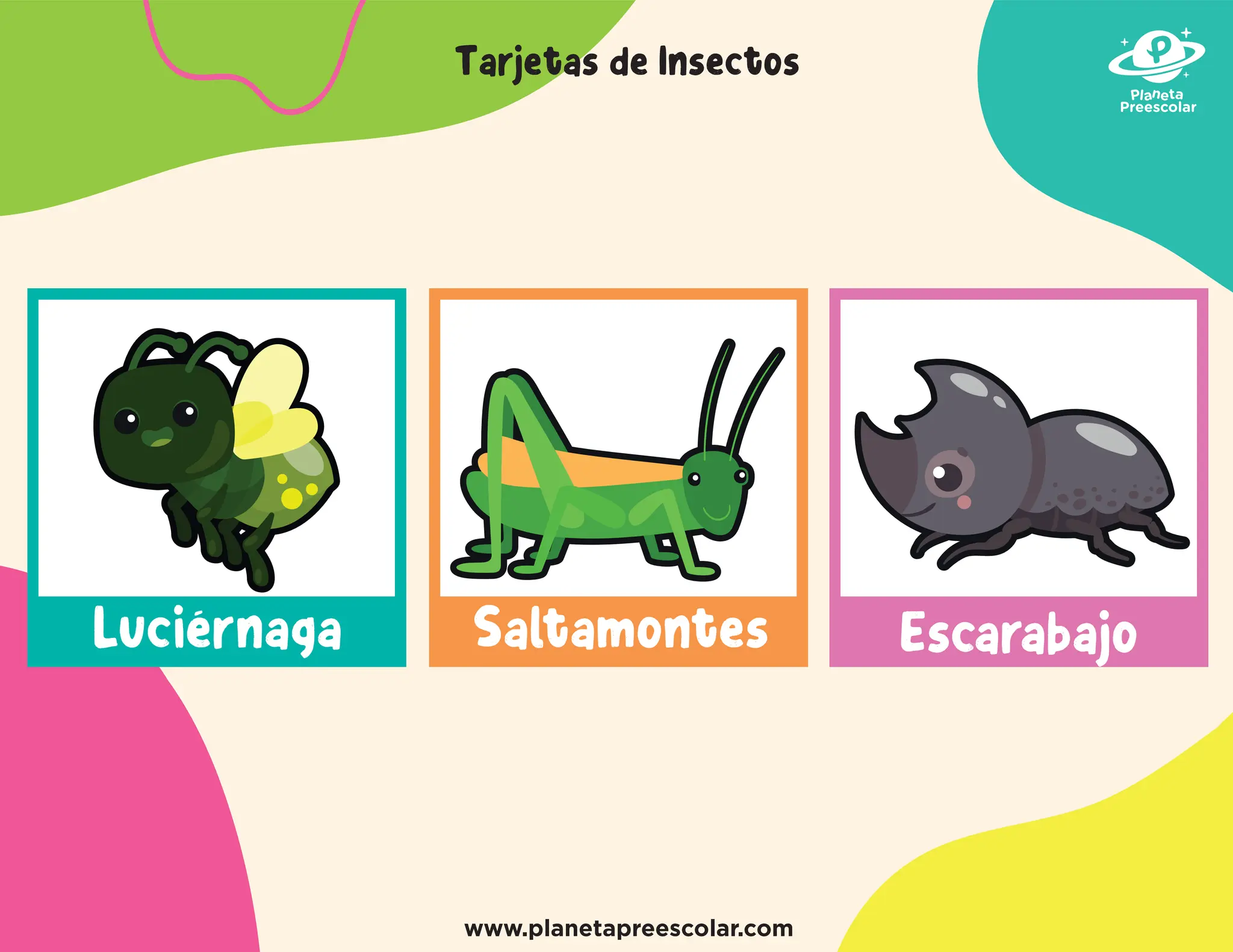 Tarjetas de Insectos .pdf Tarjetas de Insectos .pdf. Tarjetas de ...