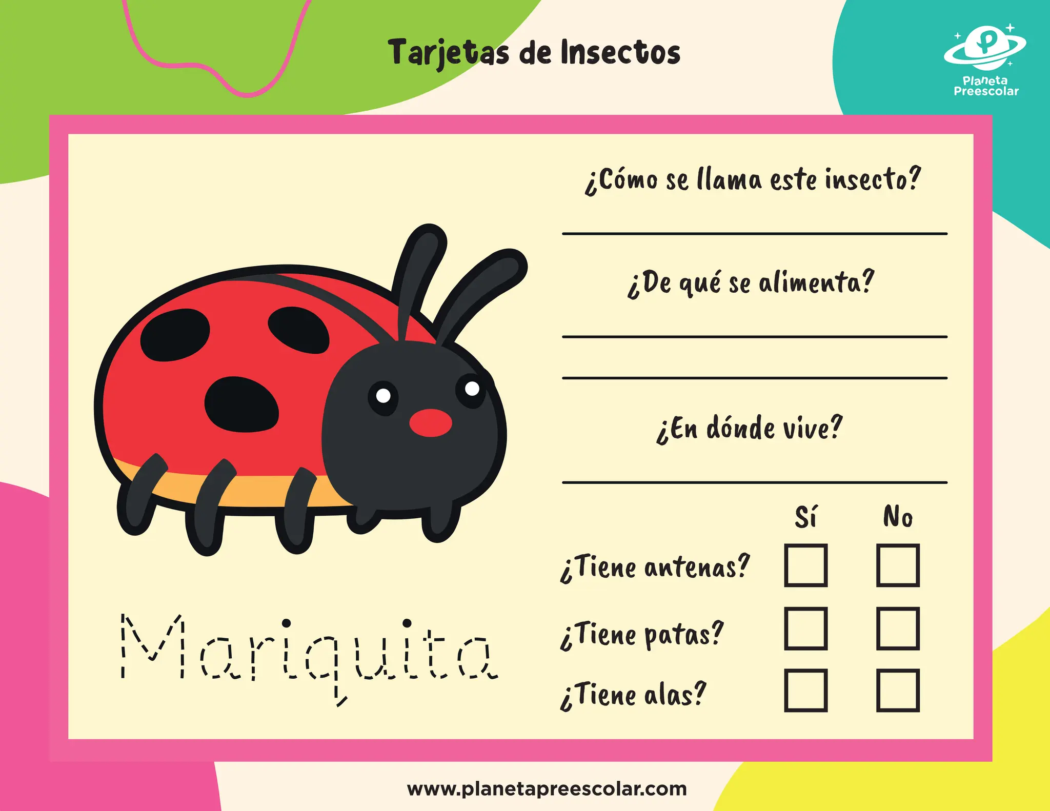 Tarjetas de Insectos .pdf Tarjetas de Insectos .pdf. Tarjetas de ...