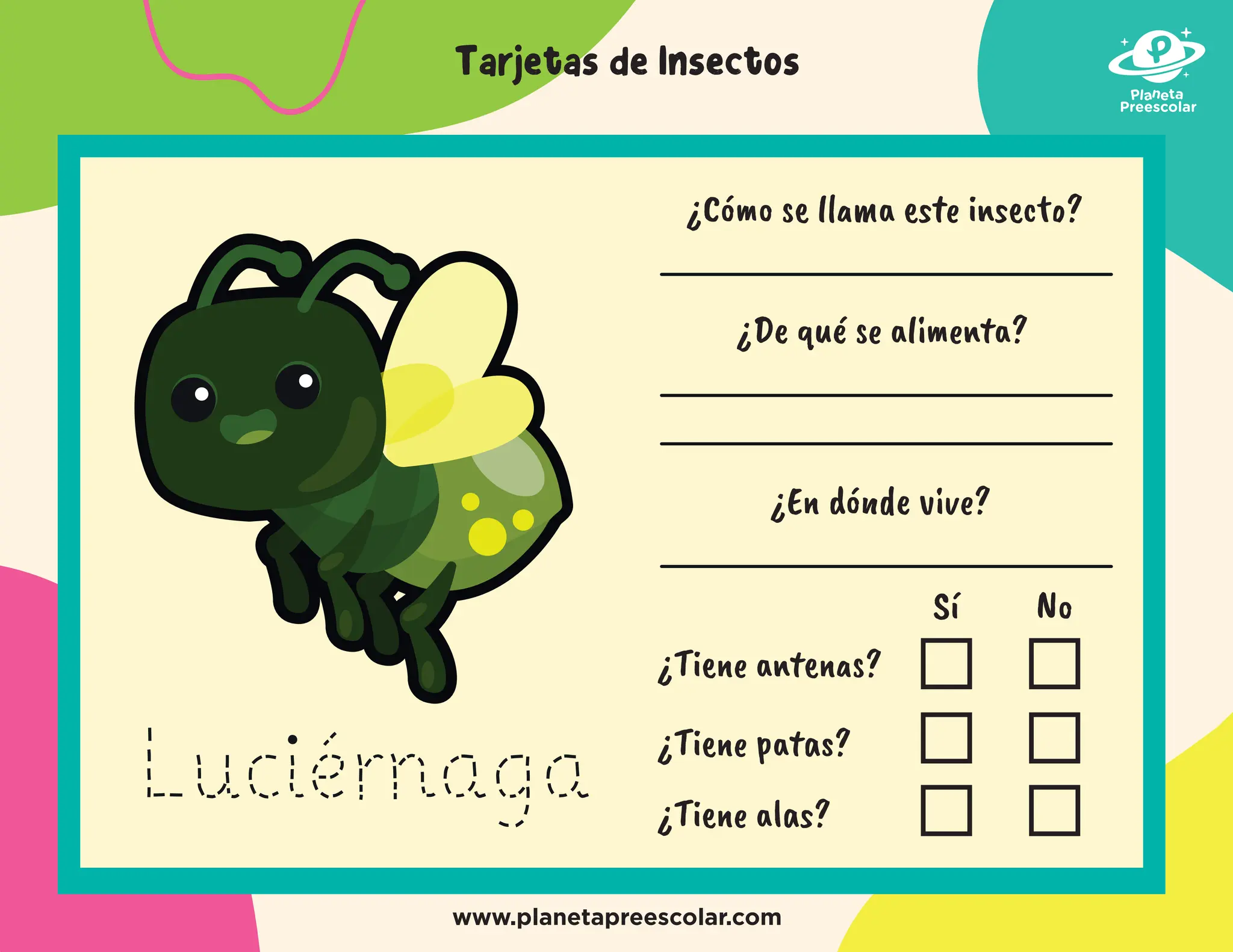 Tarjetas de Insectos .pdf Tarjetas de Insectos .pdf. Tarjetas de ...