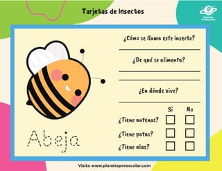 Tarjetas de Insectos .pdf Tarjetas de Insectos .pdf. Tarjetas de ...