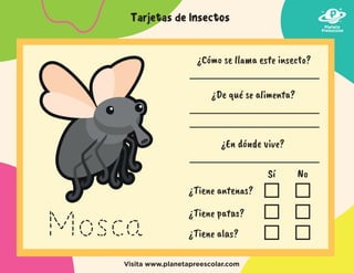Tarjetas de Insectos .pdf Tarjetas de Insectos .pdf. Tarjetas de ...