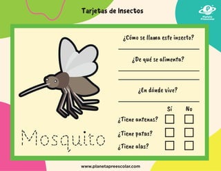 Tarjetas de Insectos .pdf Tarjetas de Insectos .pdf. Tarjetas de ...