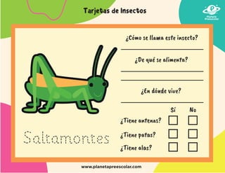 Tarjetas de Insectos .pdf Tarjetas de Insectos .pdf. Tarjetas de ...
