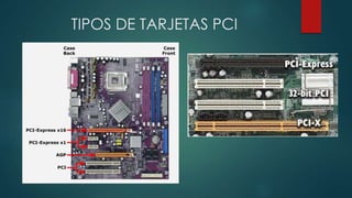Tarjetas pci, agp y amr | PPTX
