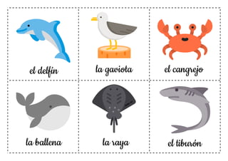 Tarjetas de animales marinos | PDF