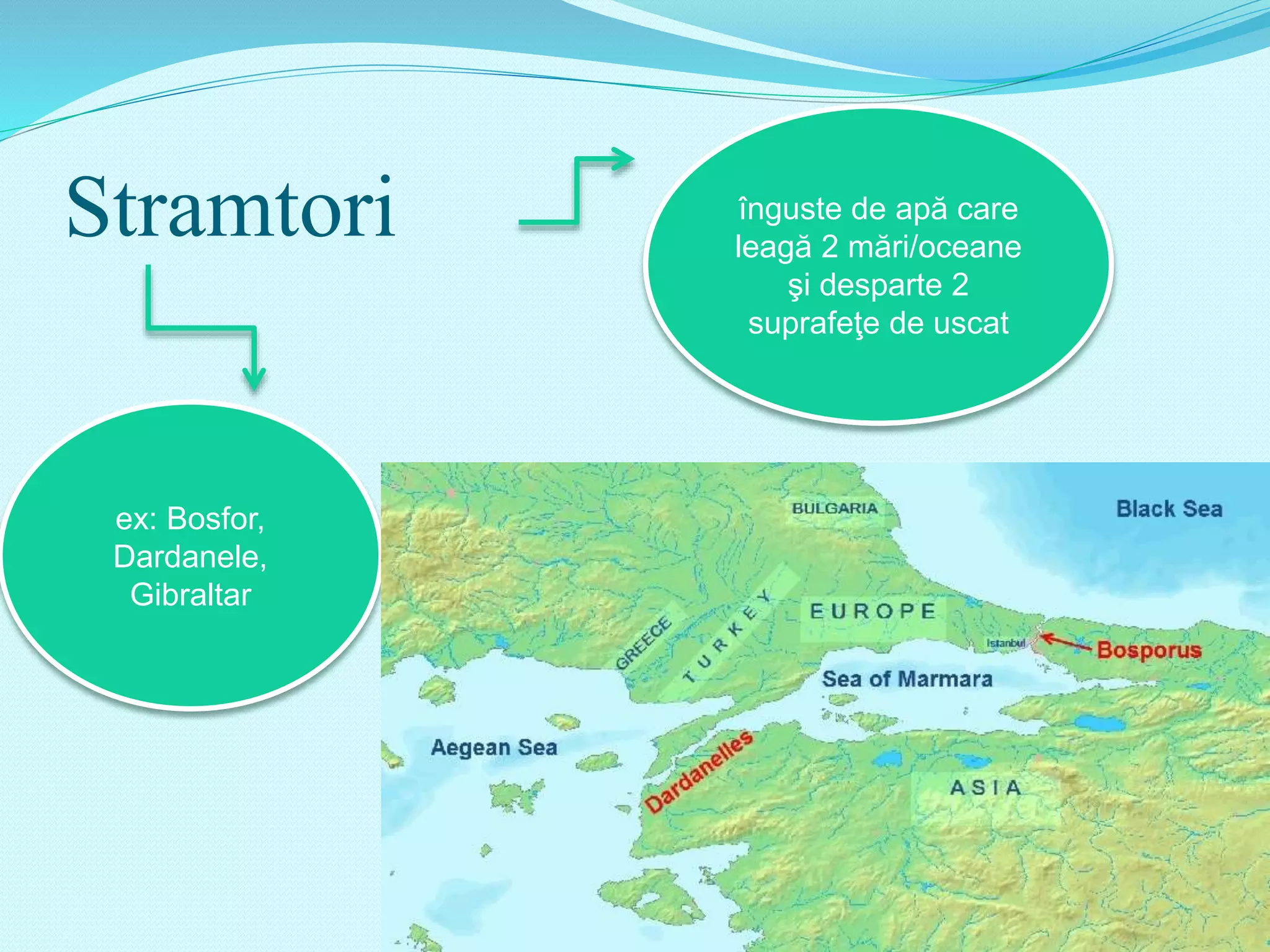 Tarmurile si articulatiile tarmurilor | PPTX