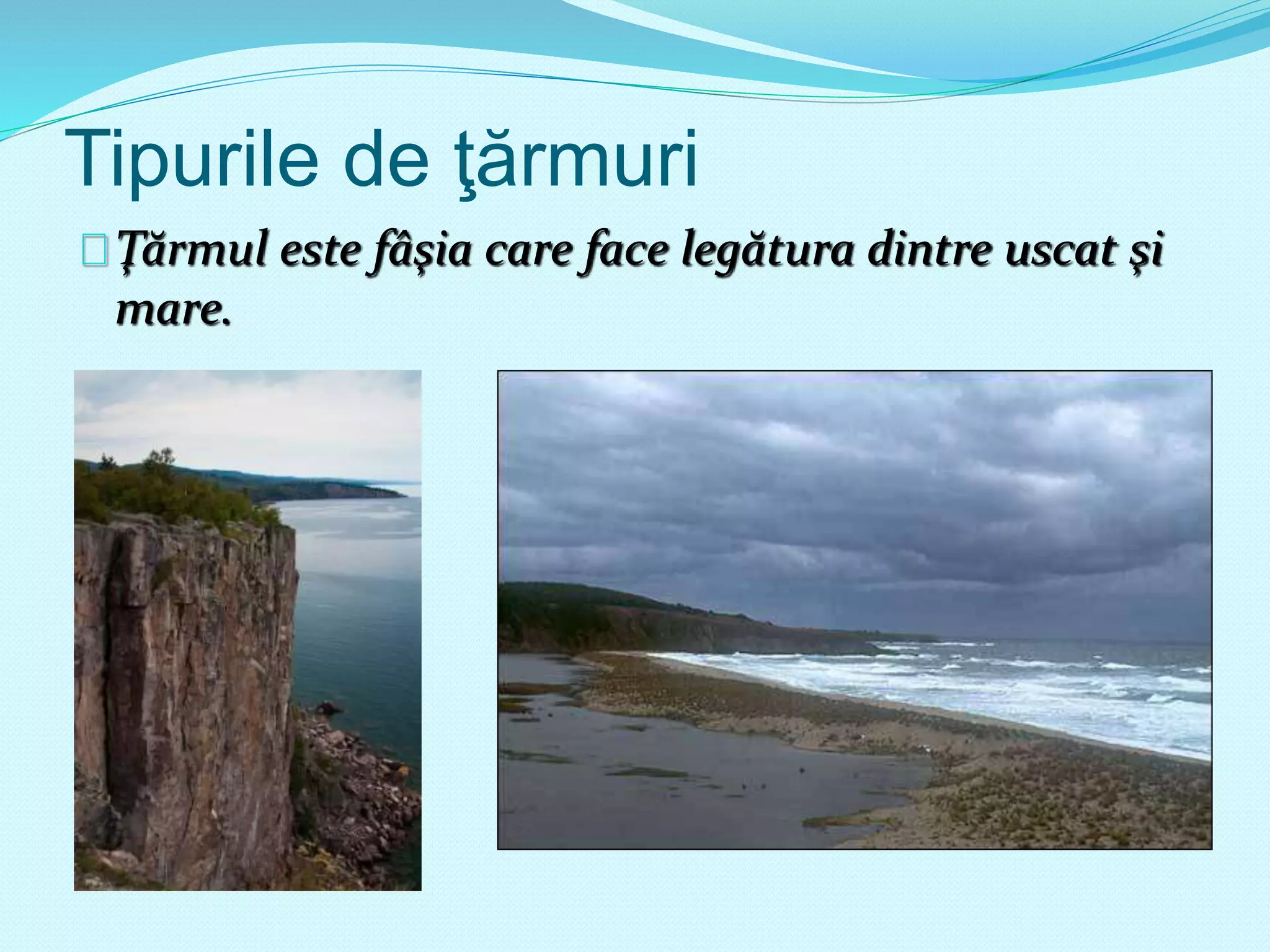 Tarmurile si articulatiile tarmurilor | PPTX