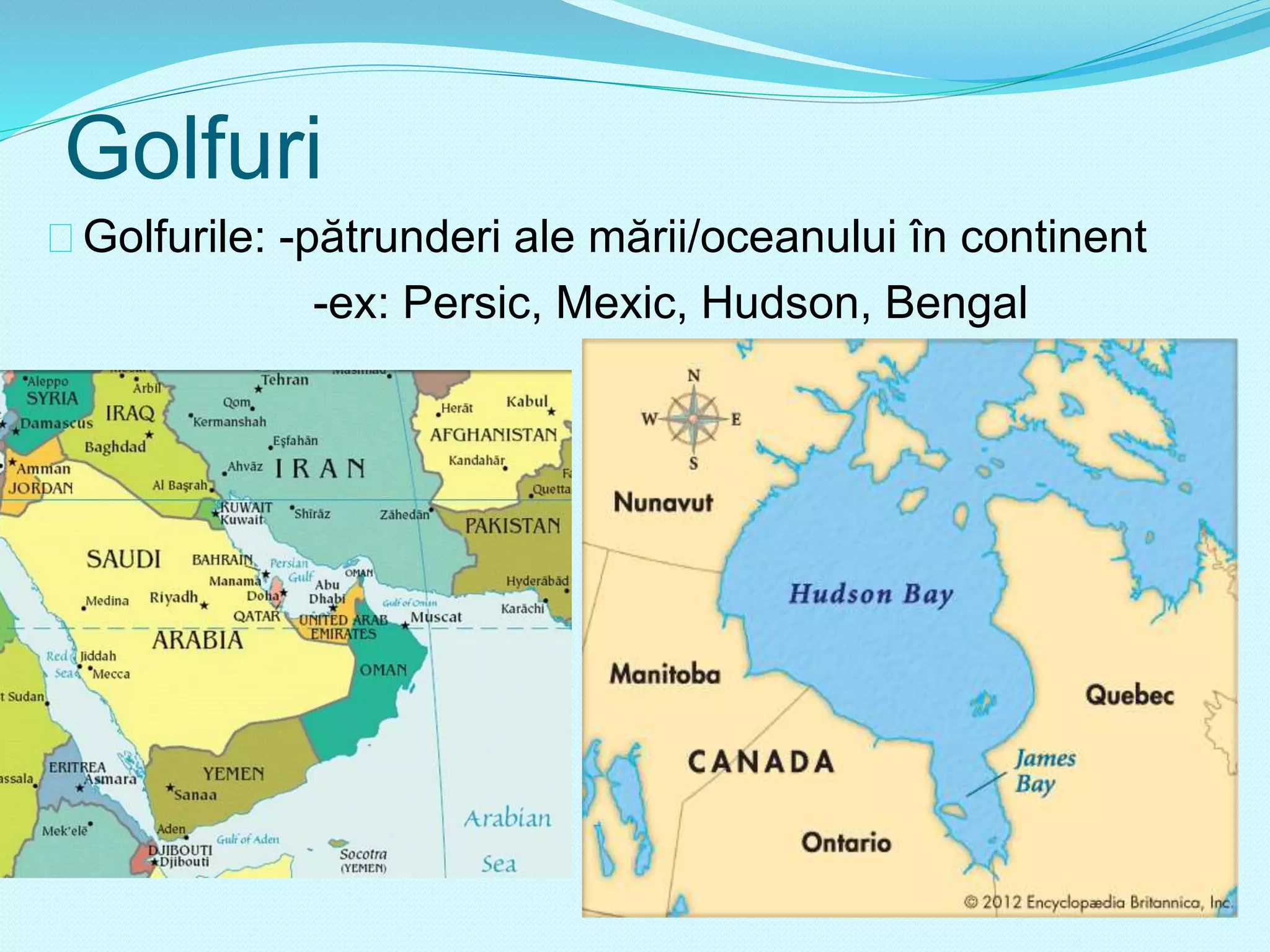 Tarmurile si articulatiile tarmurilor | PPTX