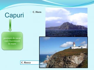 Tarmurile si articulatiile tarmurilor | PPTX