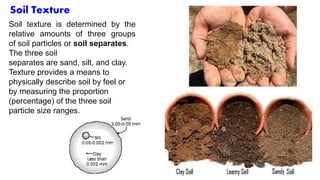 Determination of Soil Type by Ternary Diagram textural plotting | PPTX