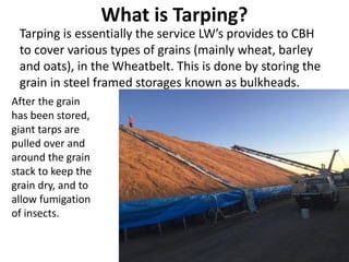 (This is for grain)Tarping Induction.pptx.pdf